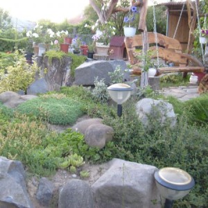 Alege stilul grădinii tale în funcţie de tendinţele actuale - Home&Deco ...